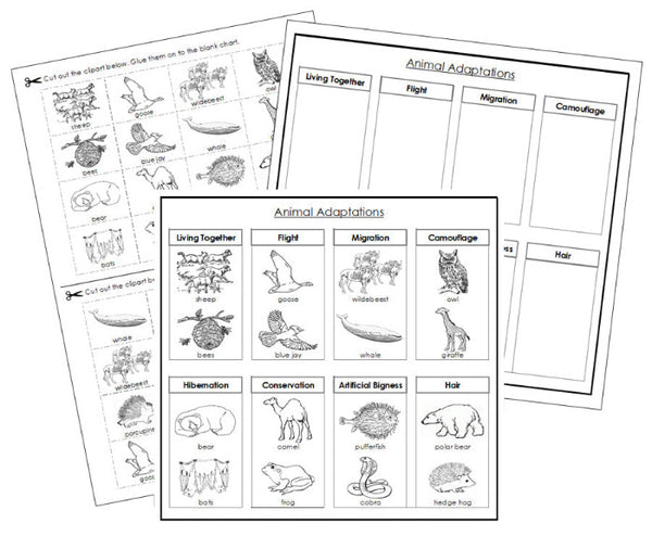 Animal Adaptations Sorting Blackline Masters - Montessori Print Shop