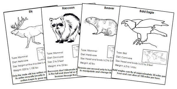 Blackline Master Coloring Pages [2025]