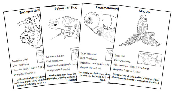 Animals of South America Blackline Masters - Montessori Print Shop
