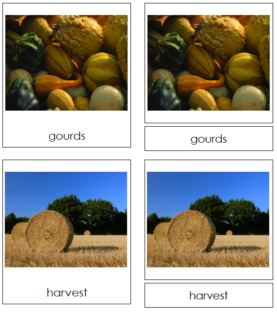 Autumn Season - Montessori Print Shop