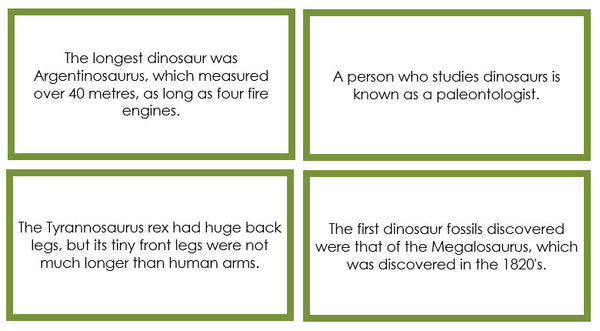 Dinosaur Fun Facts (color borders) - Montessori Print Shop