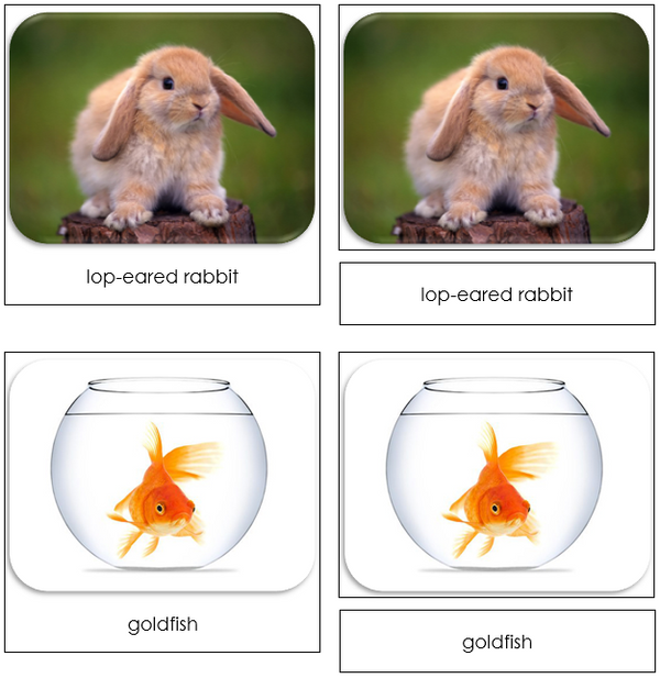 Pets Safari Toob Cards - Montessori Print Shop