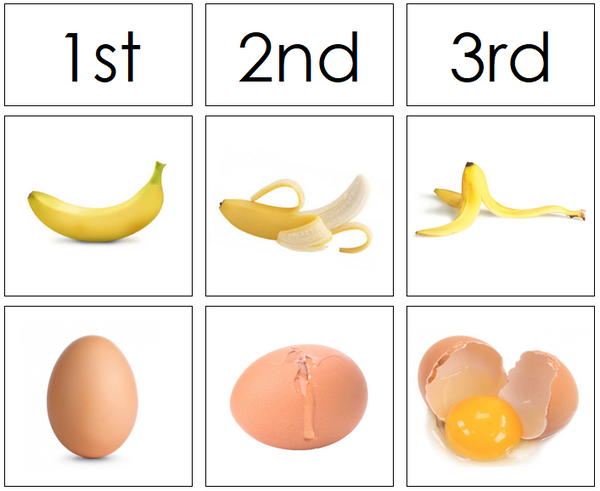 Sequence Cards - Montessori Print Shop