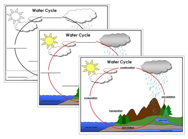 Water Cycle - Montessori Print Shop