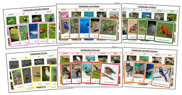 Vertebrates of the Continents Sorting Bundle (color-coded) - Montessori ...