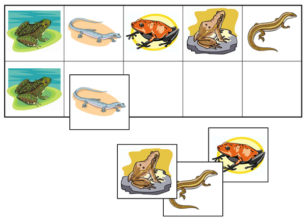 Amphibian Match-Up & Memory Game - Montessori Print Shop