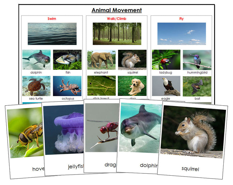 Animal Movement: Swim, Walk, Fly - Montessori Print Shop