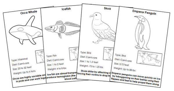 Animals of the World Information Cards Blackline Masters Bundle ...