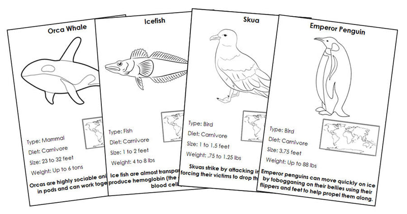 Animals of the World Information Cards Blackline Masters Bundle ...