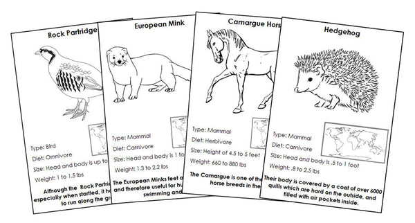 Animals of the World Information Cards Blackline Masters Bundle ...