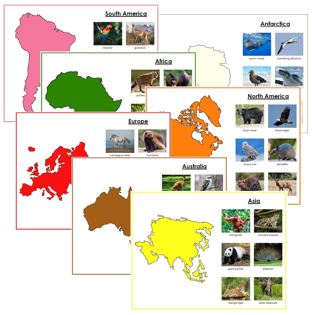 Animals of the Continents (Set 2) - Montessori Print Shop