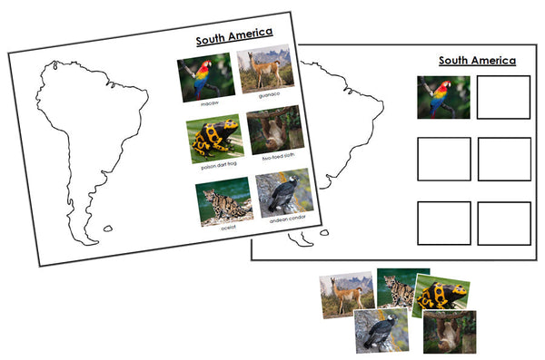 Animals of the Continents - Montessori Print Shop