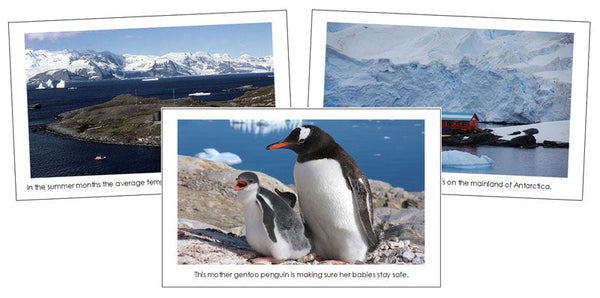 Antarctica Continent Cards - Montessori Print Shop