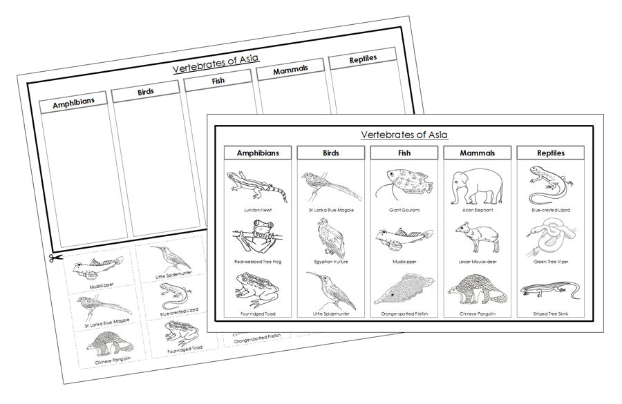 Asia Vertebrate Sorting Blackline Masters - Montessori Print Shop