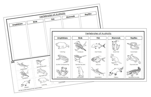 Vertebrates of the Continents Sorting Bundle - Blackline Masters ...