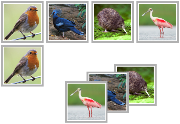 Montessori Matching Picture Cards - Montessori Print Shop
