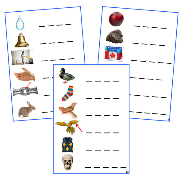 Blue Spelling Cards (photos) - Montessori Print Shop