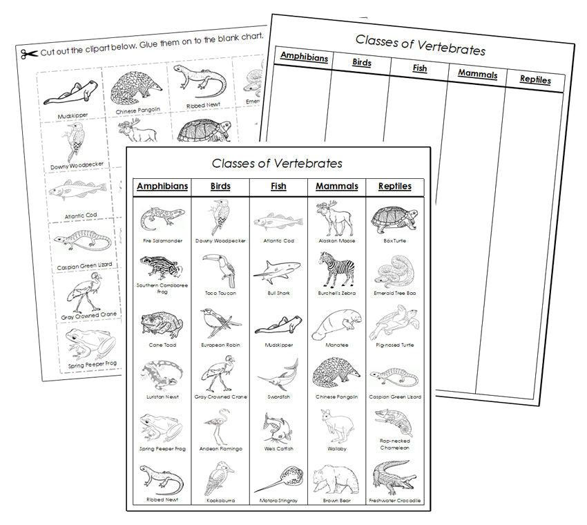 Classes of Vertebrates Sorting Blackline Masters - Montessori Print Shop