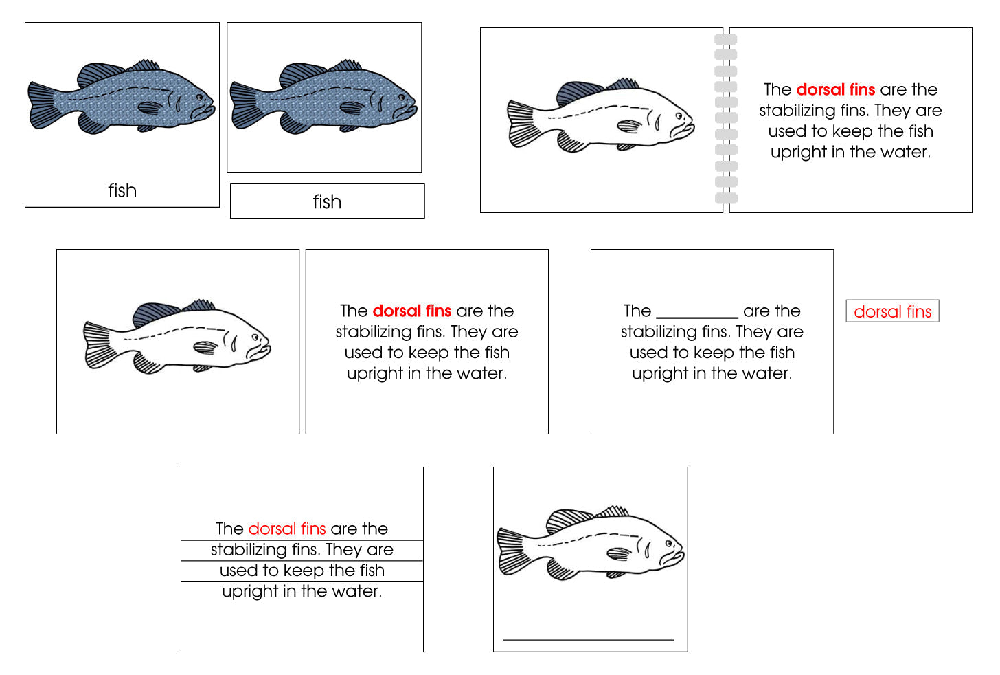 Fish Definition Set (color) - Montessori Print Shop