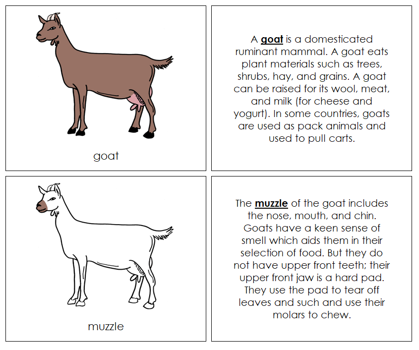 Goat Nomenclature Book - Montessori Print Shop