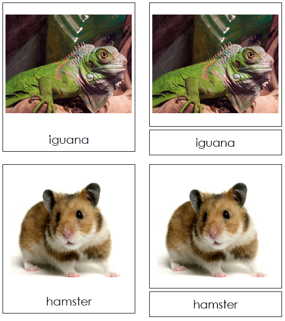 Pets (Set 1) - Montessori Print Shop