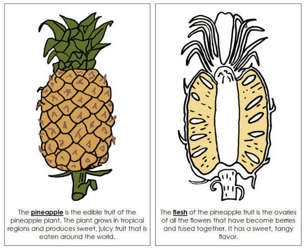 Pineapple Nomenclature Book - Montessori Print Shop