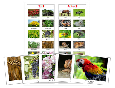 Plant & Animal Sorting - Montessori Print Shop