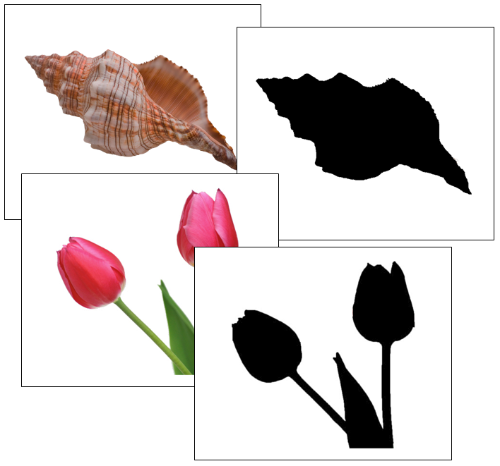 Silhouette Matching Cards (Nature) - Montessori Print Shop