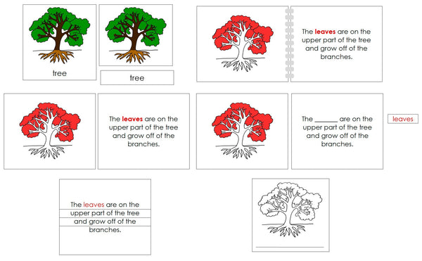 Tree Definition Set (red) - Montessori Print Shop