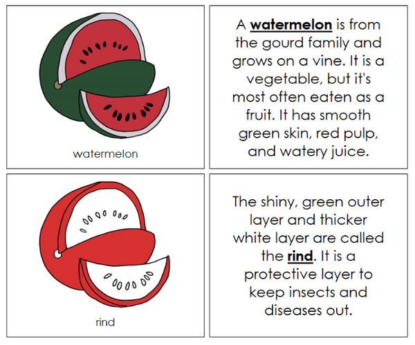 Watermelon Nomenclature Book (red) - Montessori Print Shop