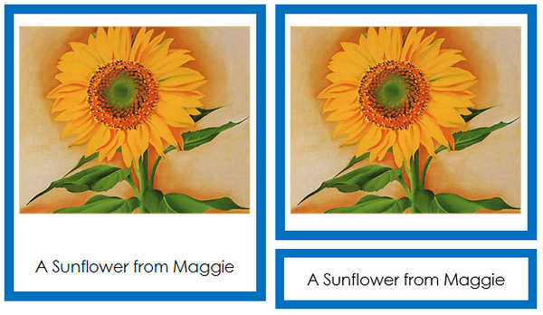 Art Cards Bundle (Set 1) - Montessori Print Shop